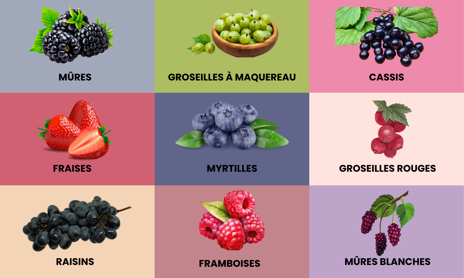 30+ Delicious Fruits in French | Learn Essential Vocabulary