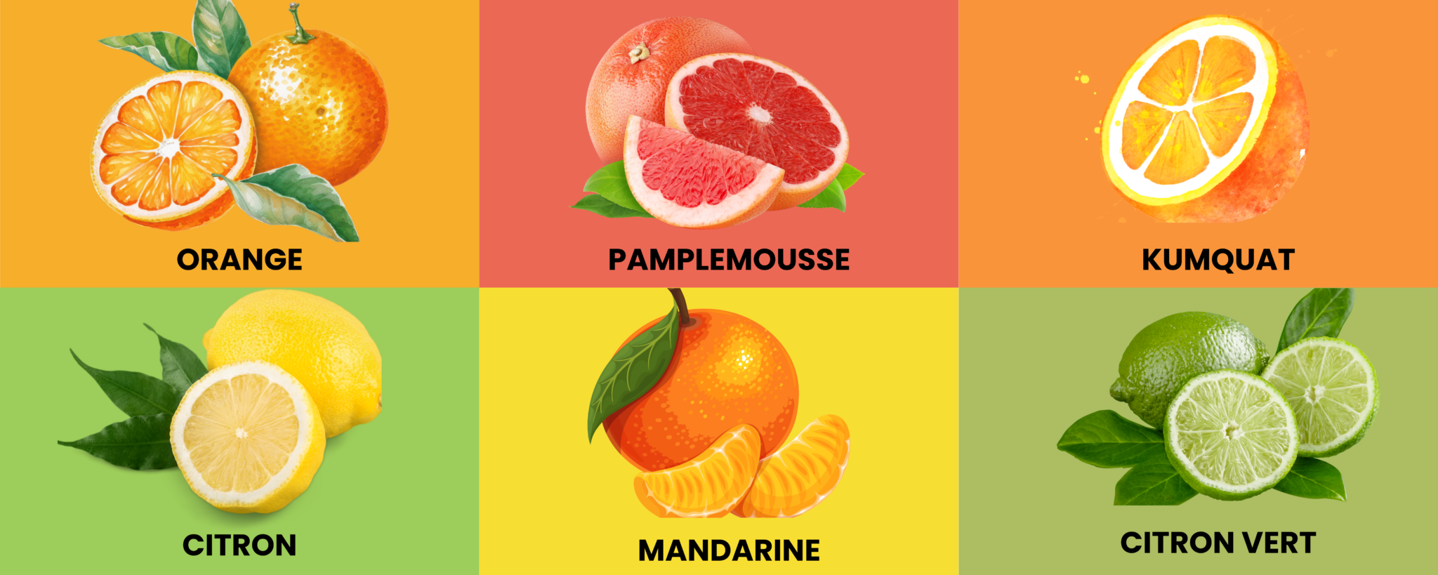 30+ Delicious Fruits in French | Learn Essential Vocabulary